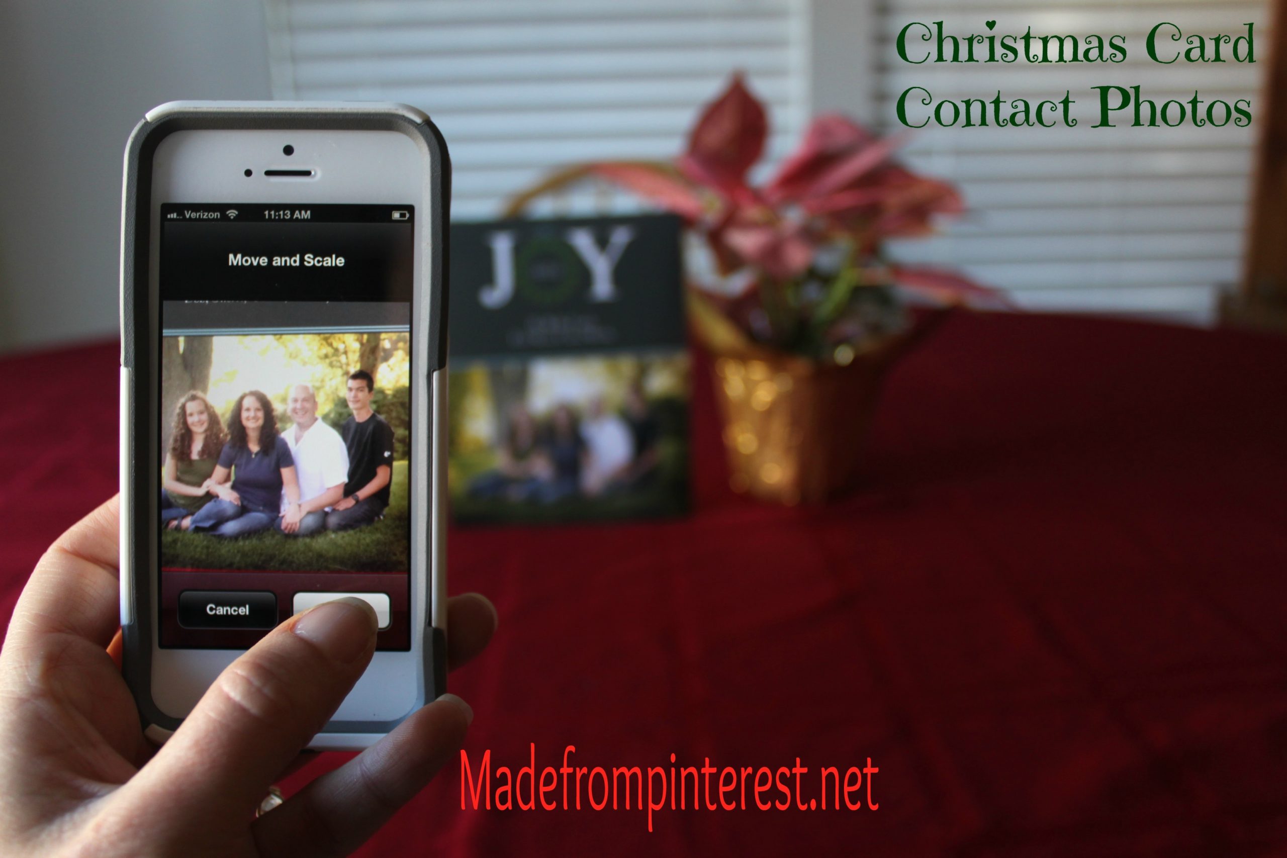 Christmas Card Contact Photos