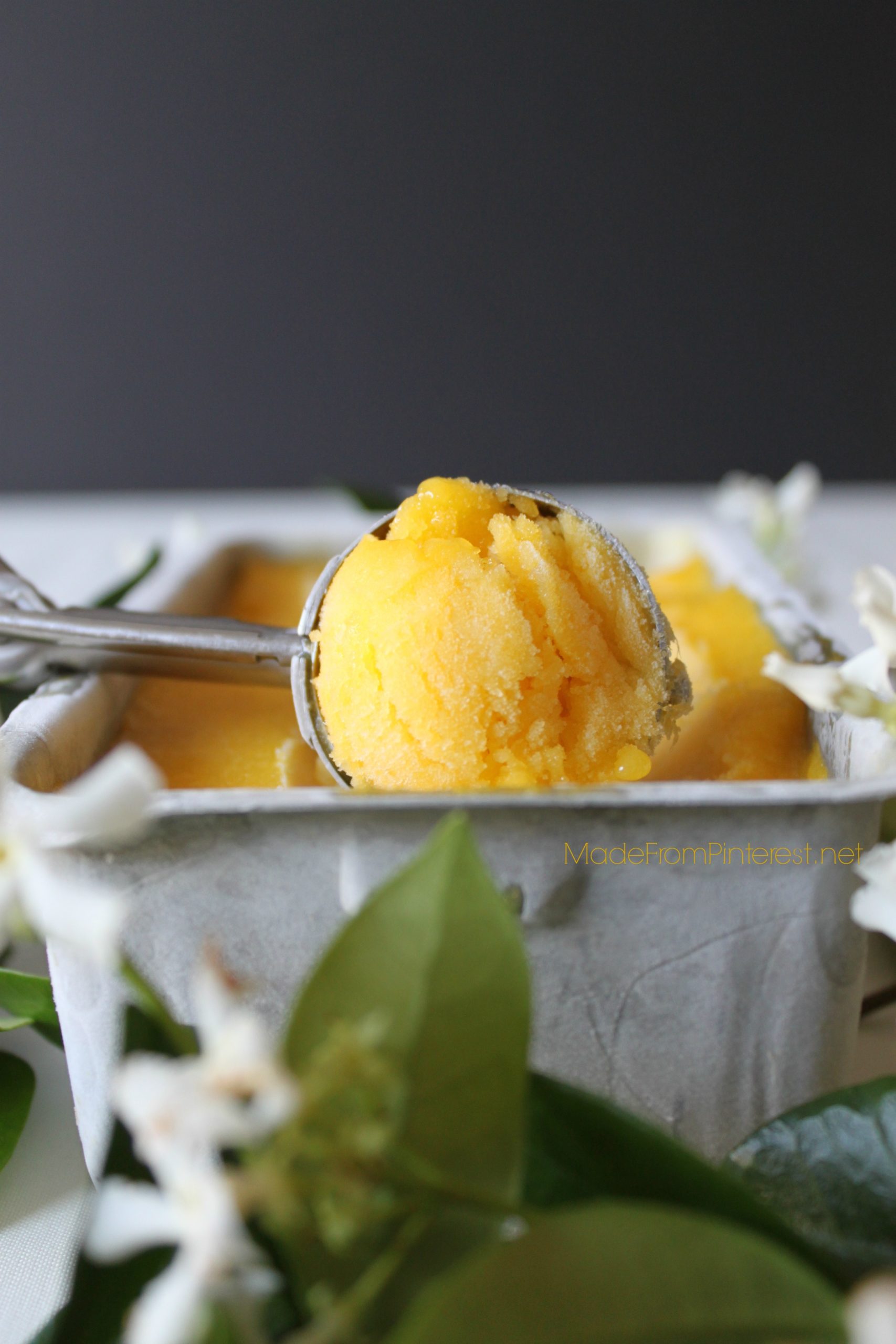 Mango Sorbet Recipe - TGIF - This Grandma is Fun
