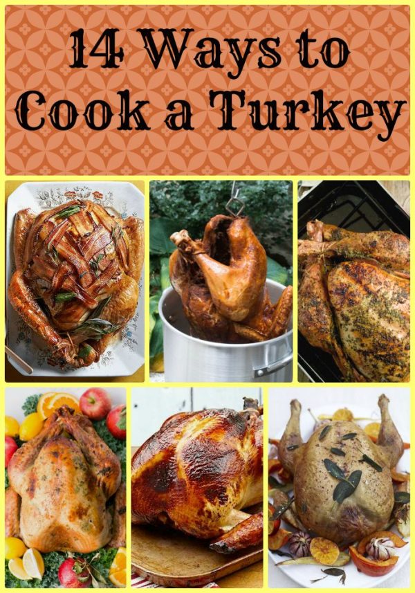 14 Different Ways to Cook a Turkey - TGIF - This Grandma is Fun