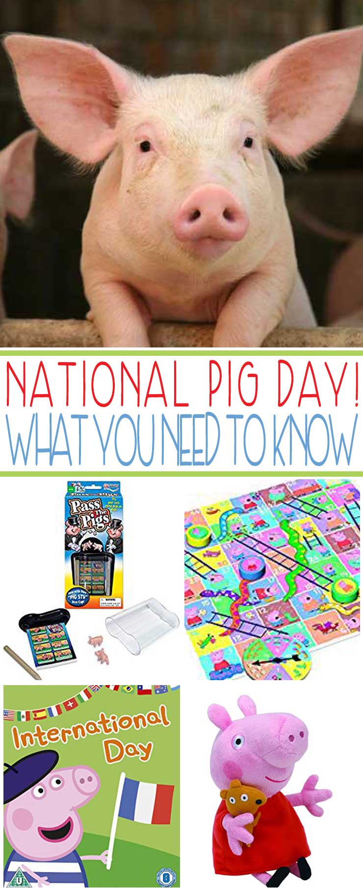 Happy National Pig Day! Here Is Everything You Need To Know. - TGIF ...