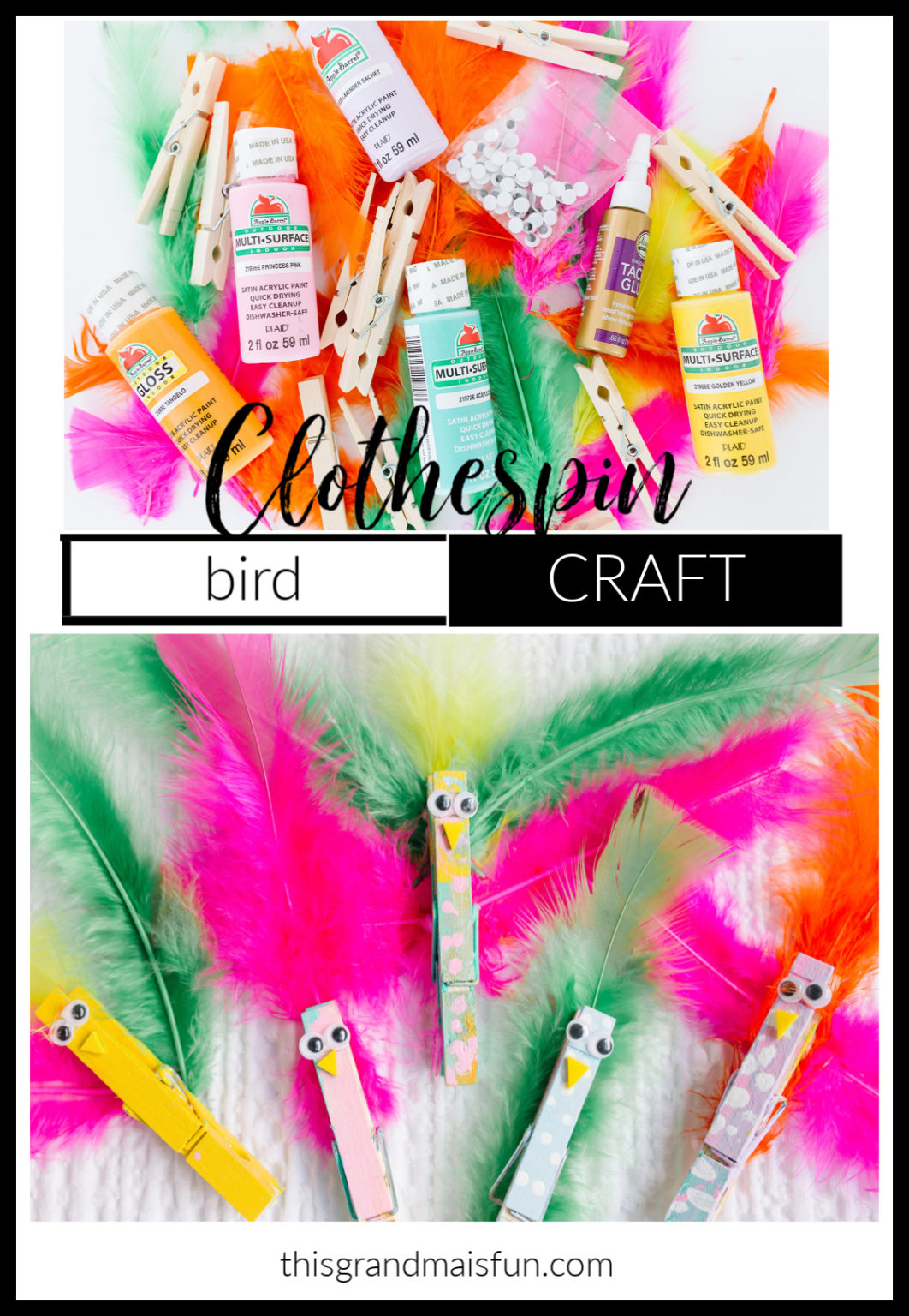 Clothes Pin Birds Craft - TGIF - This Grandma is Fun
