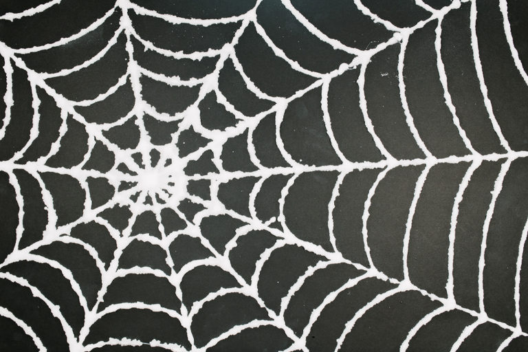 Salt Art Spider Web Craft - TGIF - This Grandma is Fun