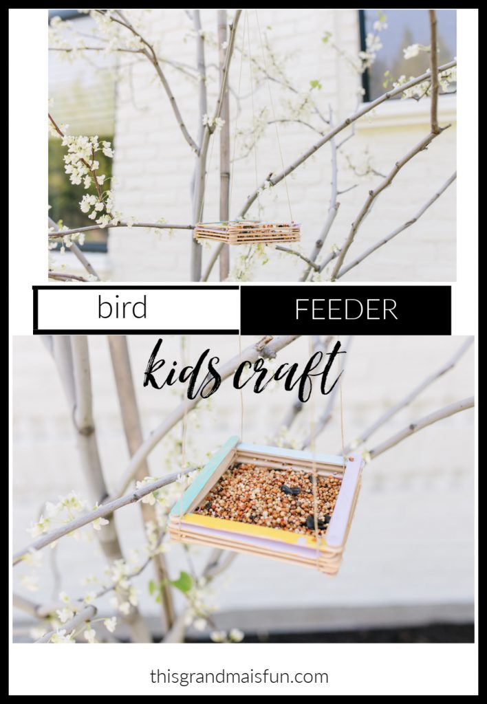 Easy Bird Feeder Craft - TGIF - This Grandma is Fun